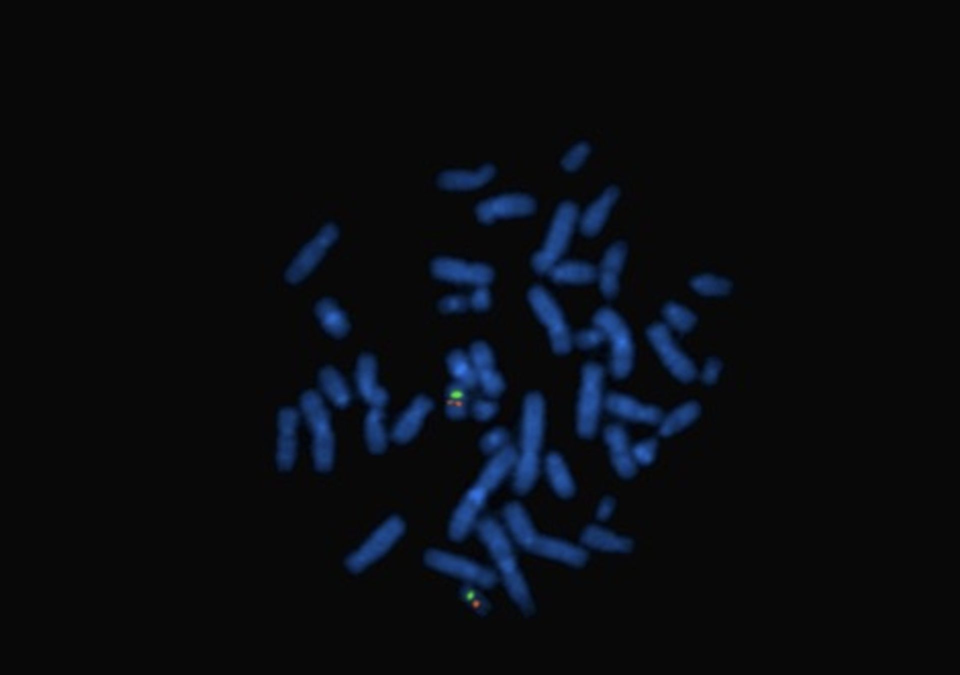 Nick Translation Kit - Empire Genomics