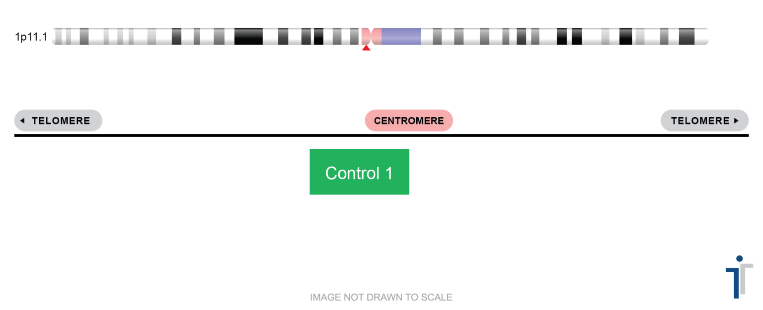 CON 01 FISH Probe (GREEN) - Empire Genomics