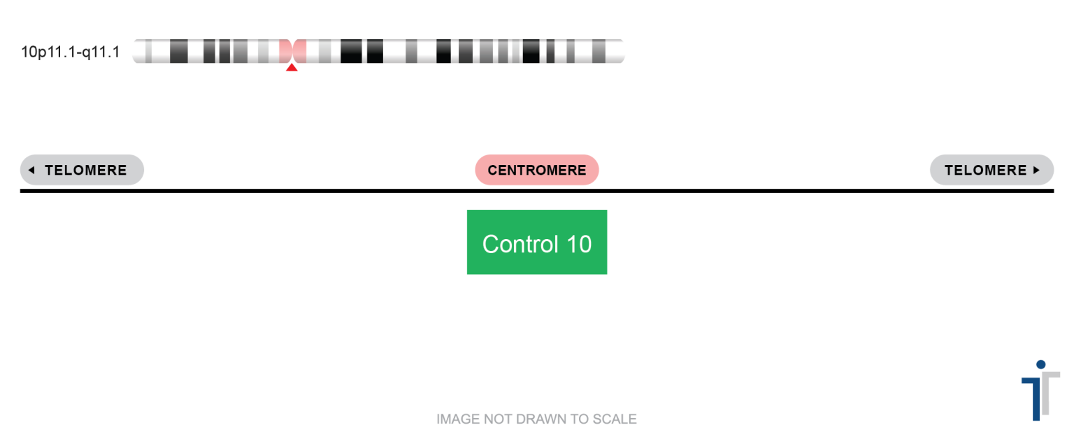 Chromosome 10 Control FISH Probe - Empire Genomics